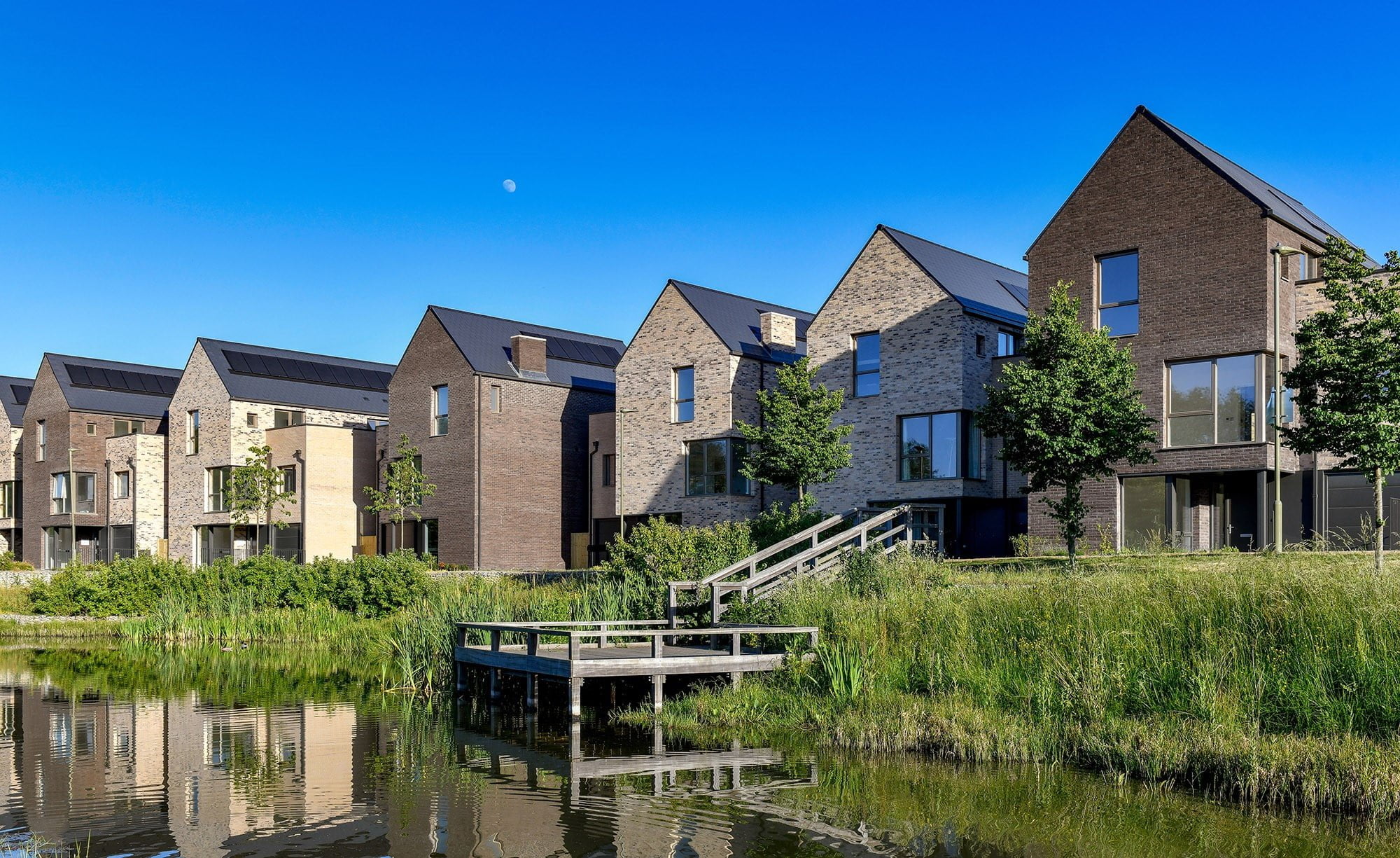 THE HILL GROUP DELIVERS RECORD REVENUES DURING COVID AND LAYS ...