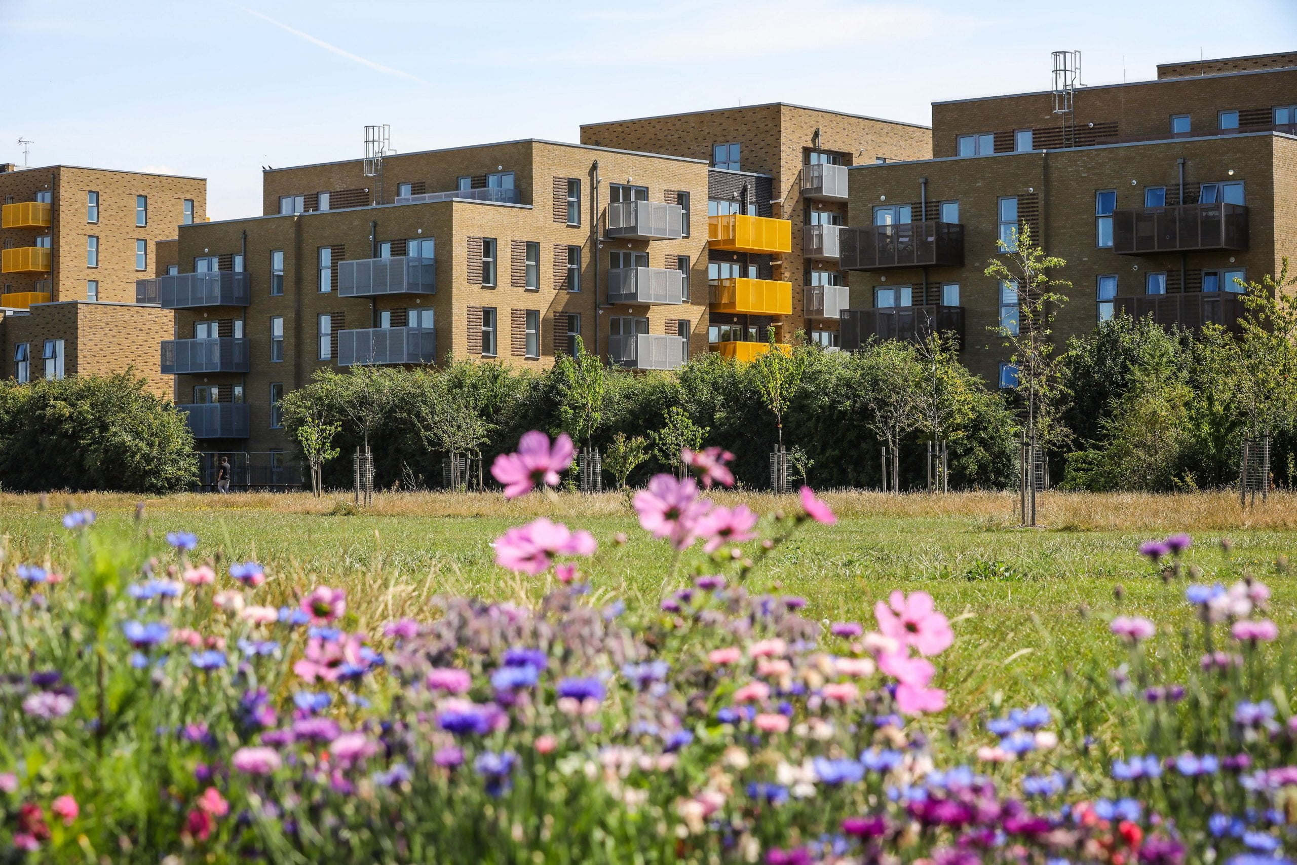 REGIONAL SALES MANAGER DETAILS EIGHT YEAR JOURNEY AT NETWORK HOMES ...